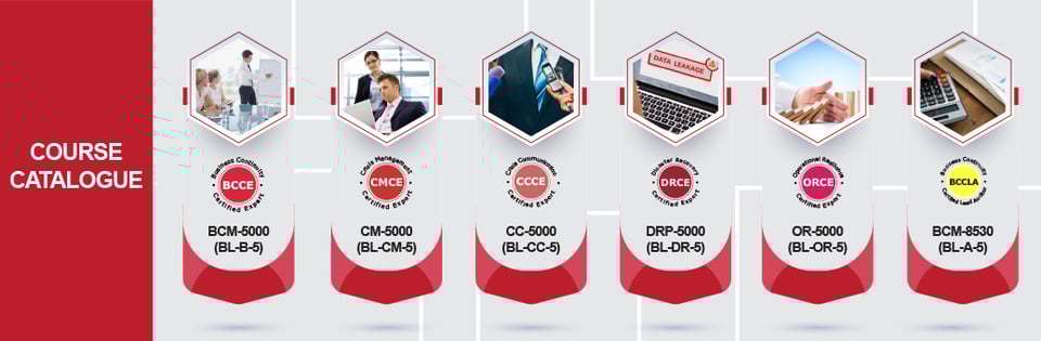 Bl Hl 5 Catalogue What Expert Level Blended Hybrid Learning Courses